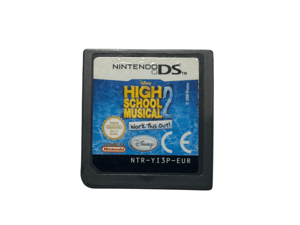 High school musical 2 Nintendo DS game – RetroBoy